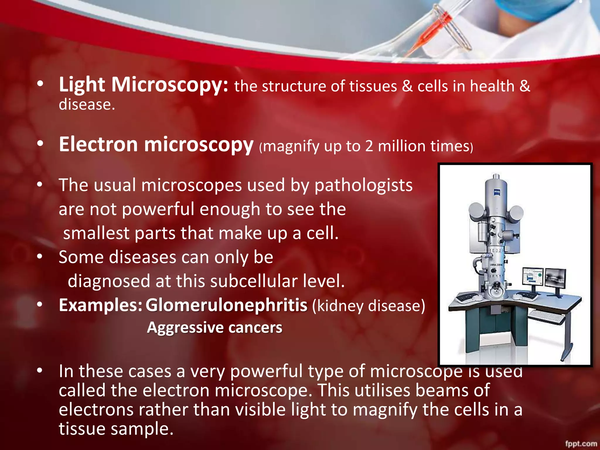 Pathology Presentation | PPT