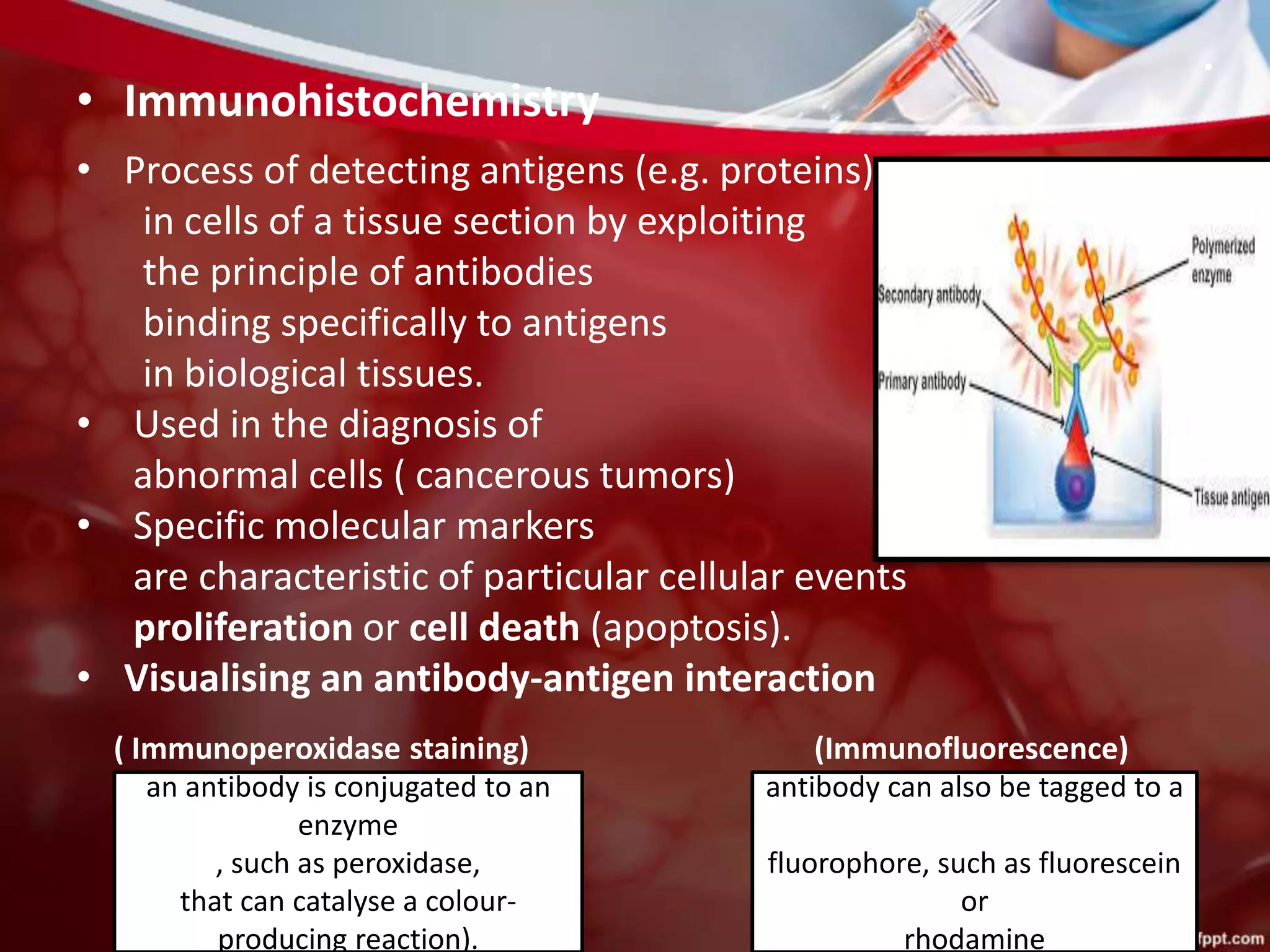 Pathology Presentation | PPT