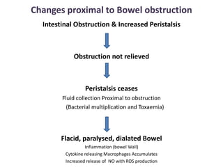 Pathopyshiology of Intestinal Obstruction CHIRANTAN MANDAL Medical ...