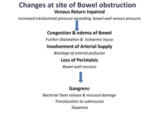 Pathopyshiology of Intestinal Obstruction CHIRANTAN MANDAL Medical ...