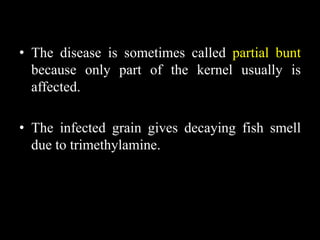 KARNAL BUNT OF WHEAT | PPTX