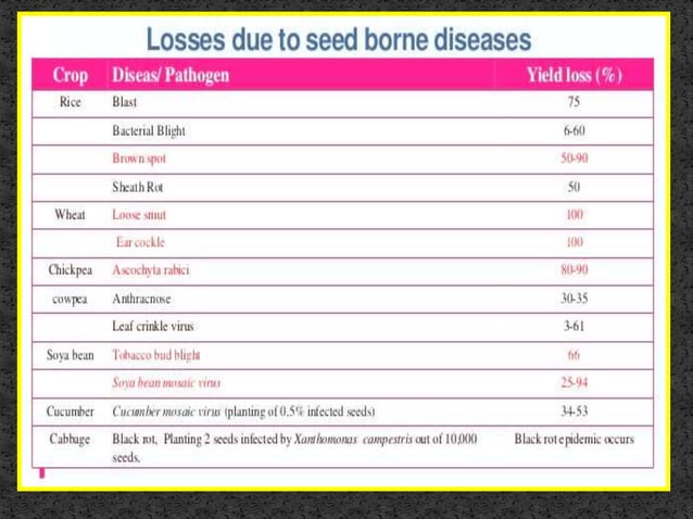 Seed certification and type of losses caused by seed borne diseases in ...