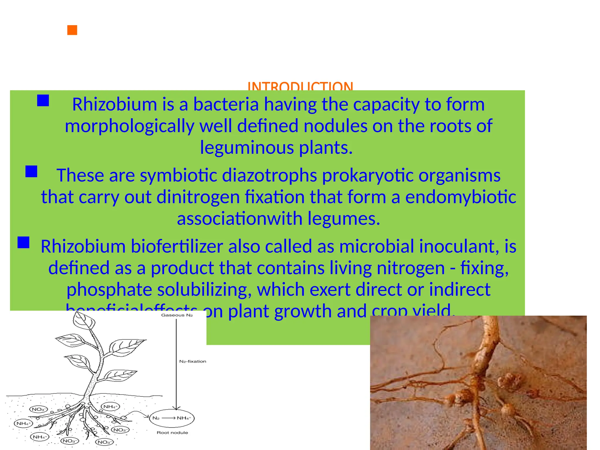 plant pathology ppt..pptx