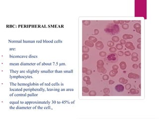 path presentation of laboratory pre.pptx