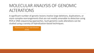 diagnosis of genetic defects.pptx