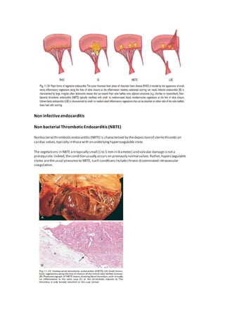 Cardiovascular system path docx | PDF