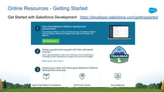 Path to Salesforce developer - world tour | PDF