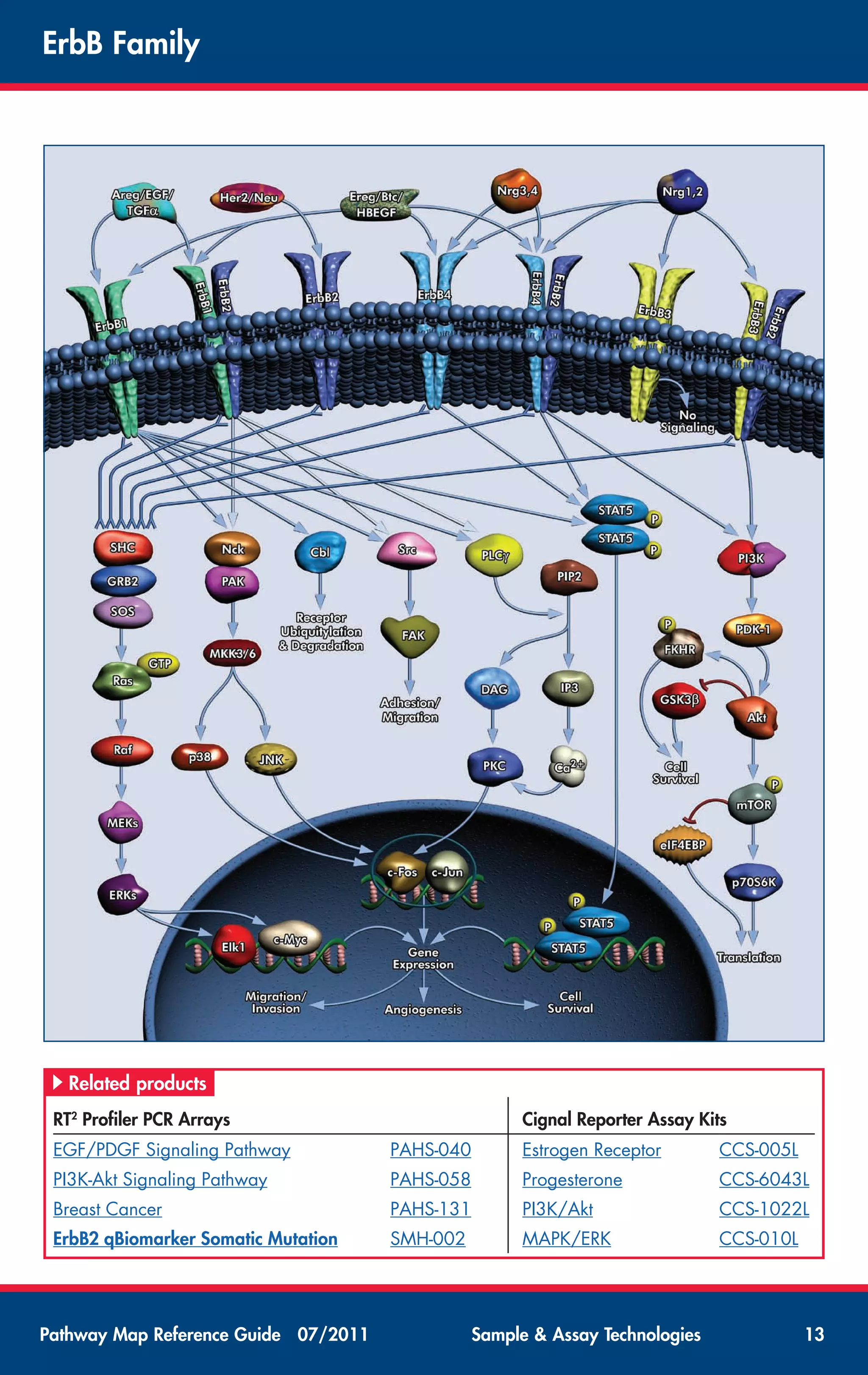 Pathway map-reference-guide | PDF