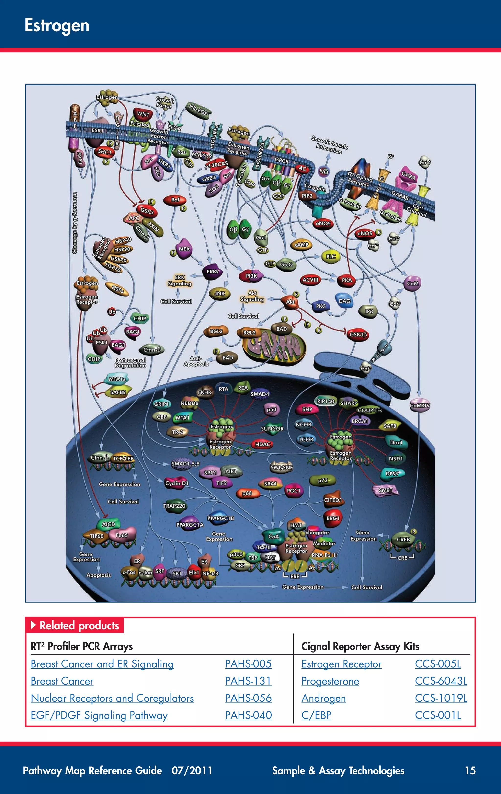 Pathway map-reference-guide | PDF