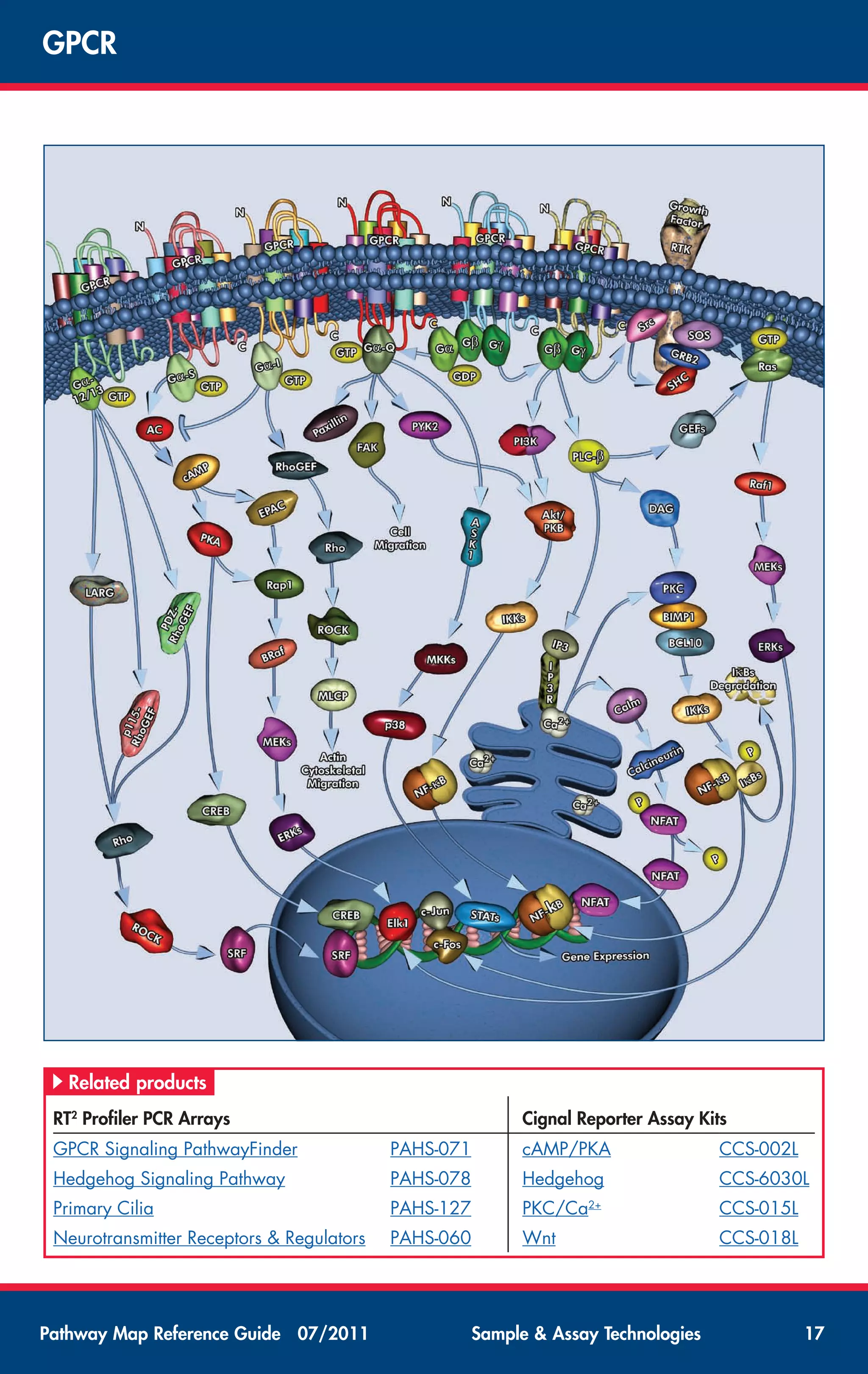 Pathway map-reference-guide | PDF
