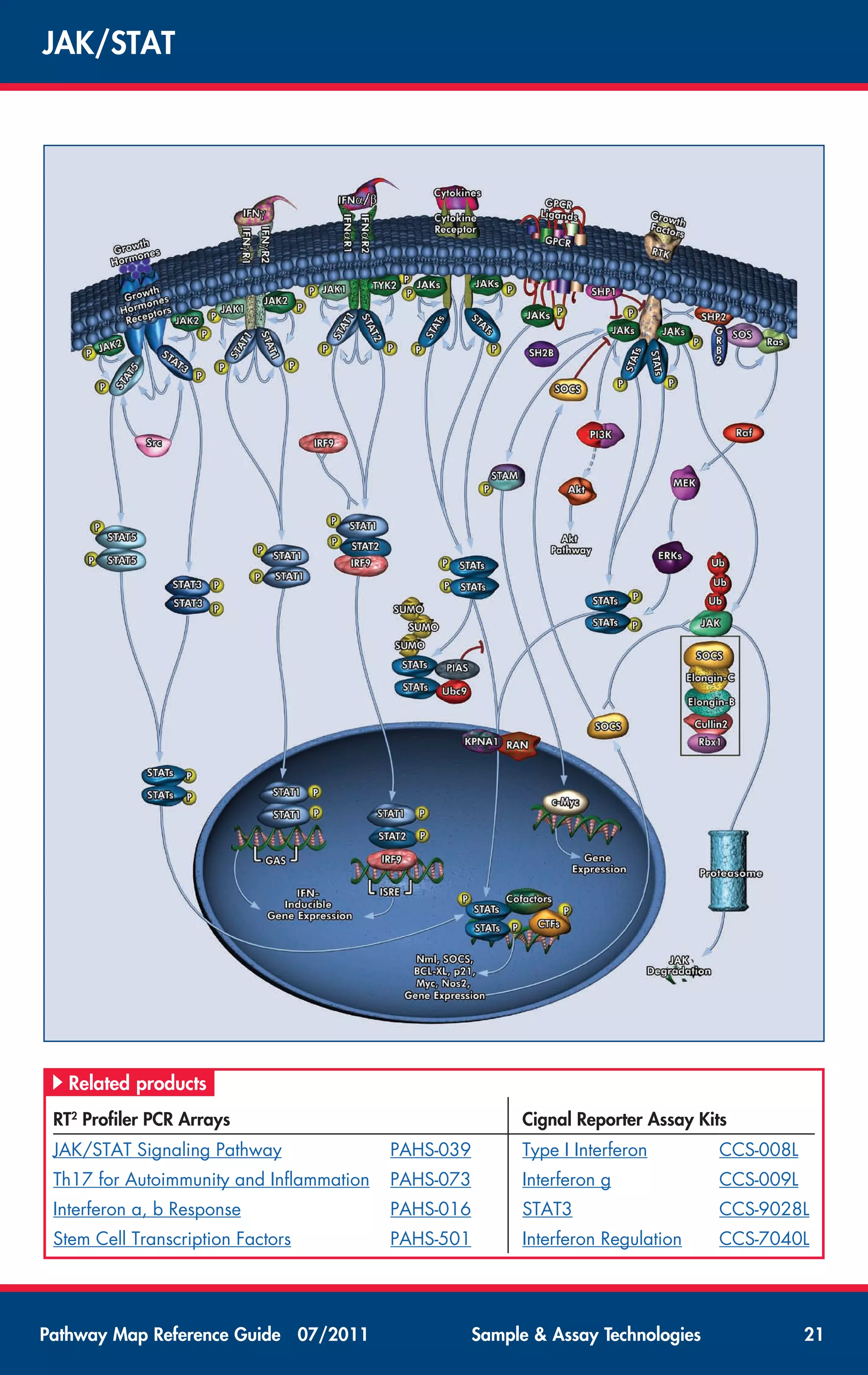 Pathway map-reference-guide | PDF