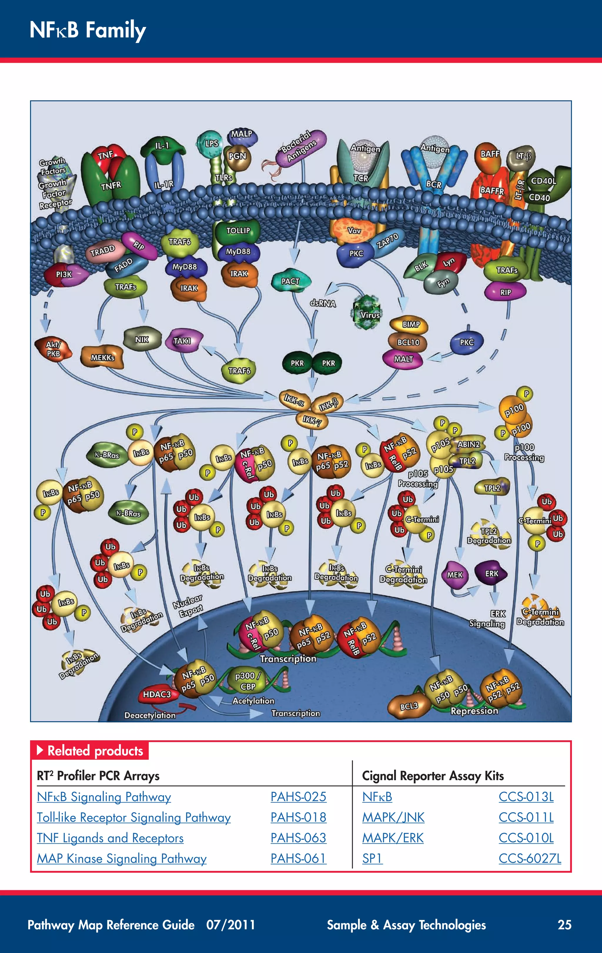 Pathway map-reference-guide | PDF