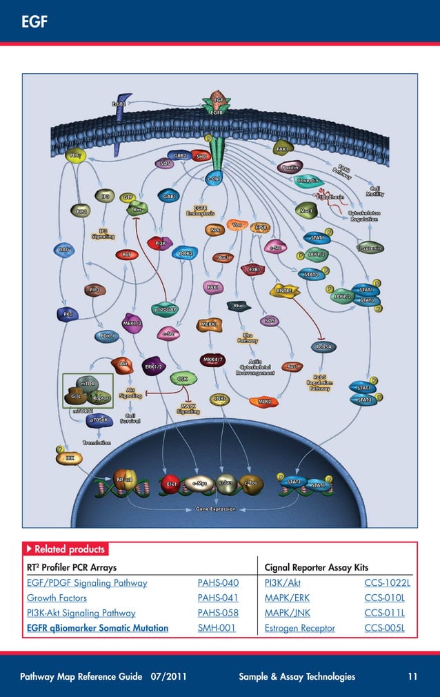 Pathway map-reference-guide | PDF