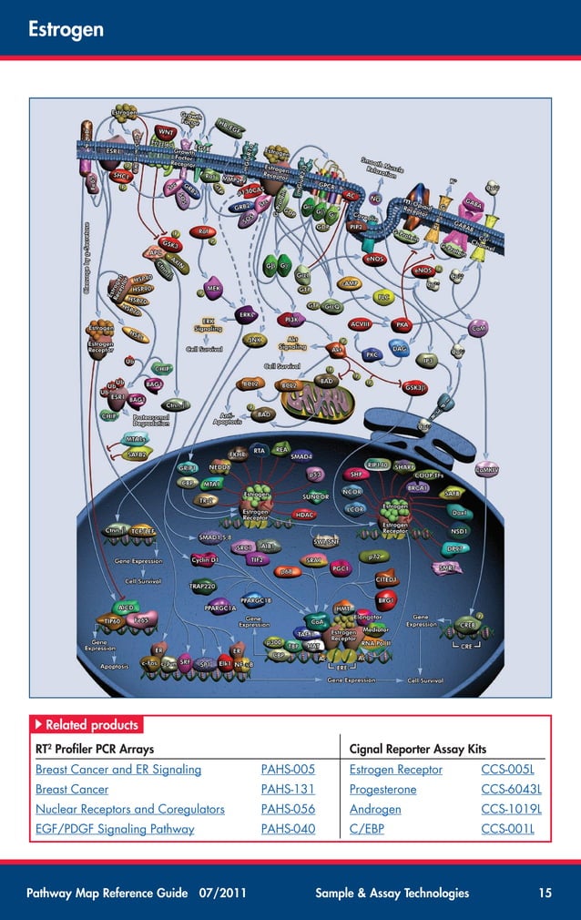Pathway map-reference-guide | PDF