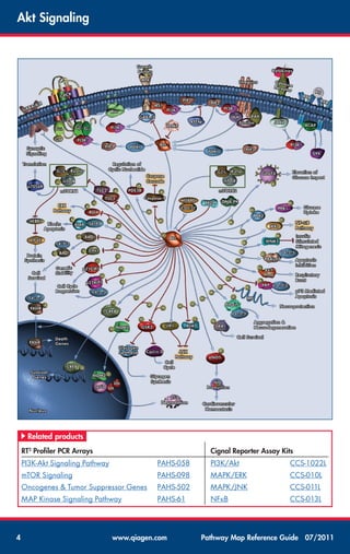 Pathway map-reference-guide | PDF