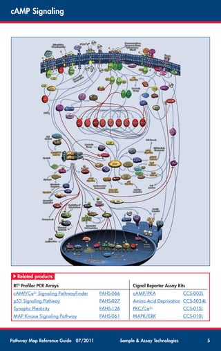 Pathway map-reference-guide | PDF
