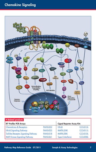 Pathway map-reference-guide | PDF