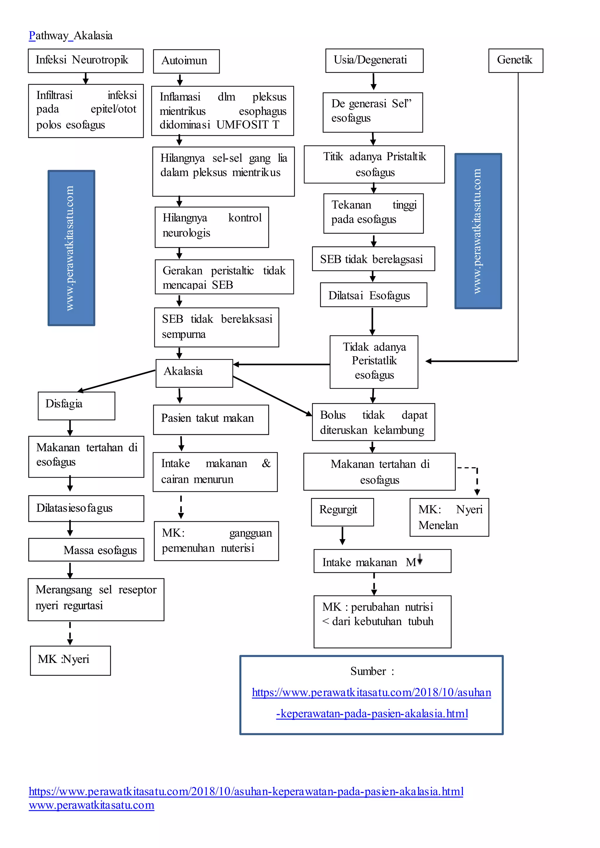Pathway akalasia | DOCX