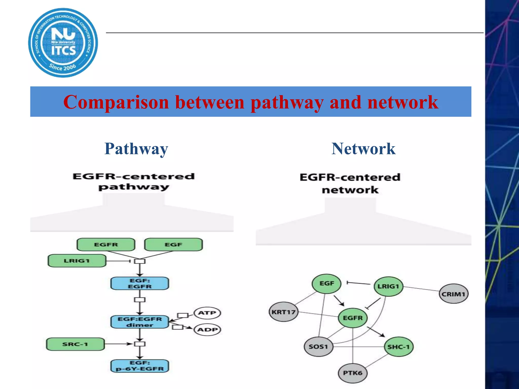 Pathway and network analysis | PPTX