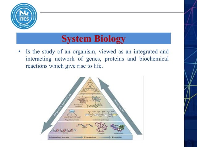 Pathway and network analysis | PPTX | Computer Networking | Computing