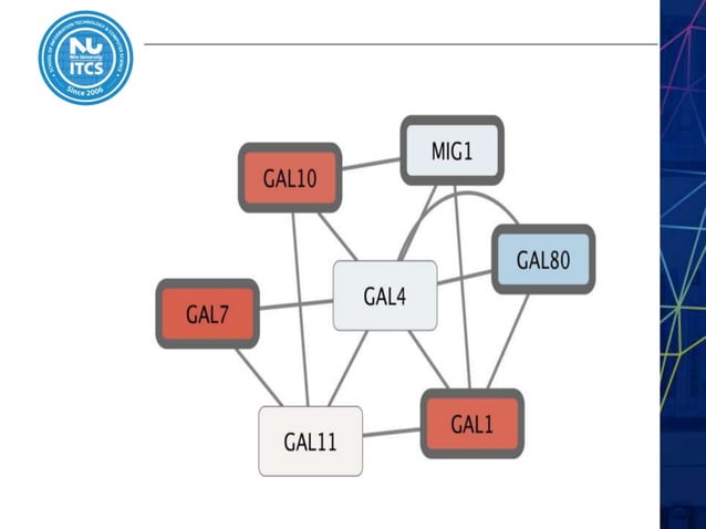 Pathway and network analysis | PPTX | Computer Networking | Computing