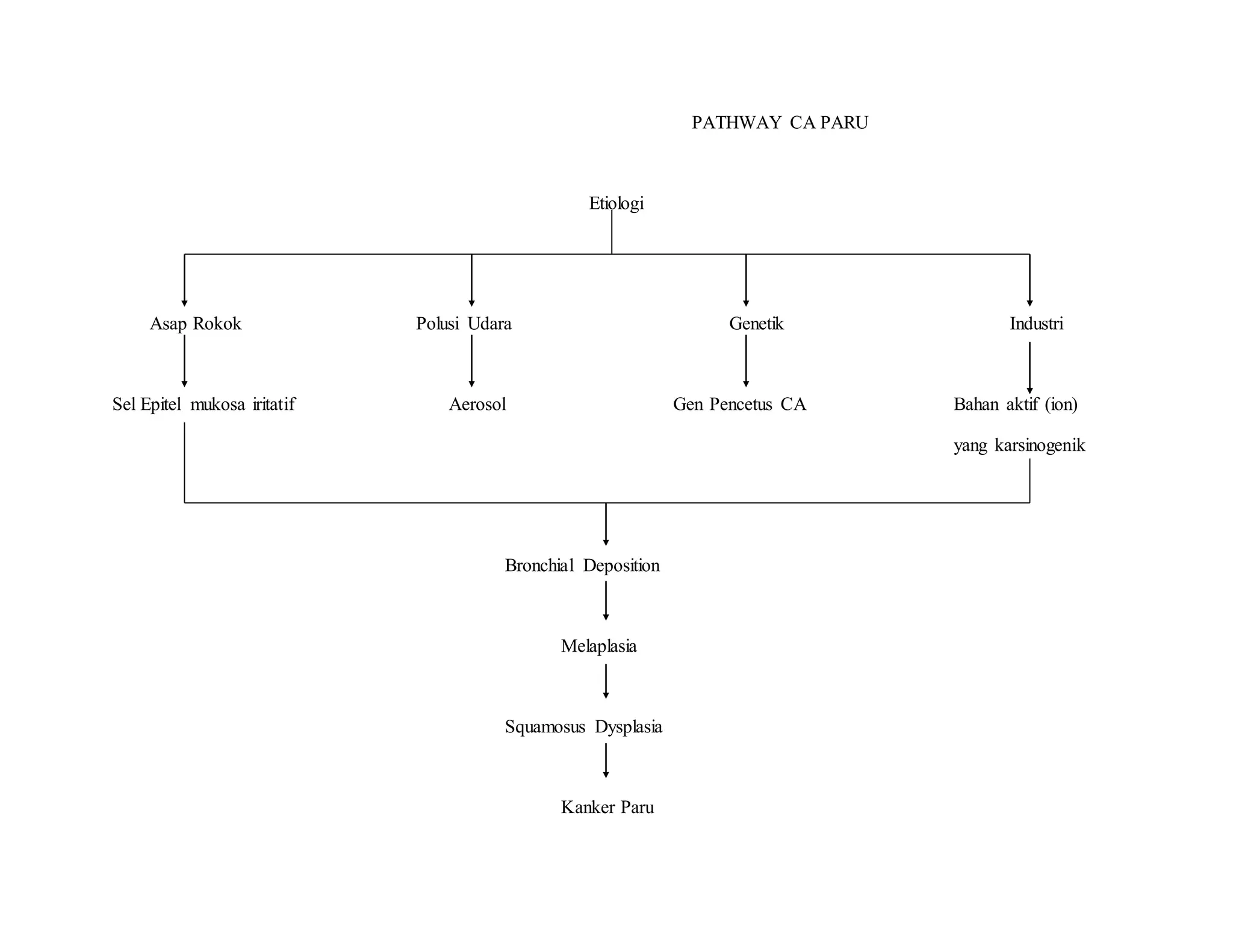 Pathway ca paru | DOCX