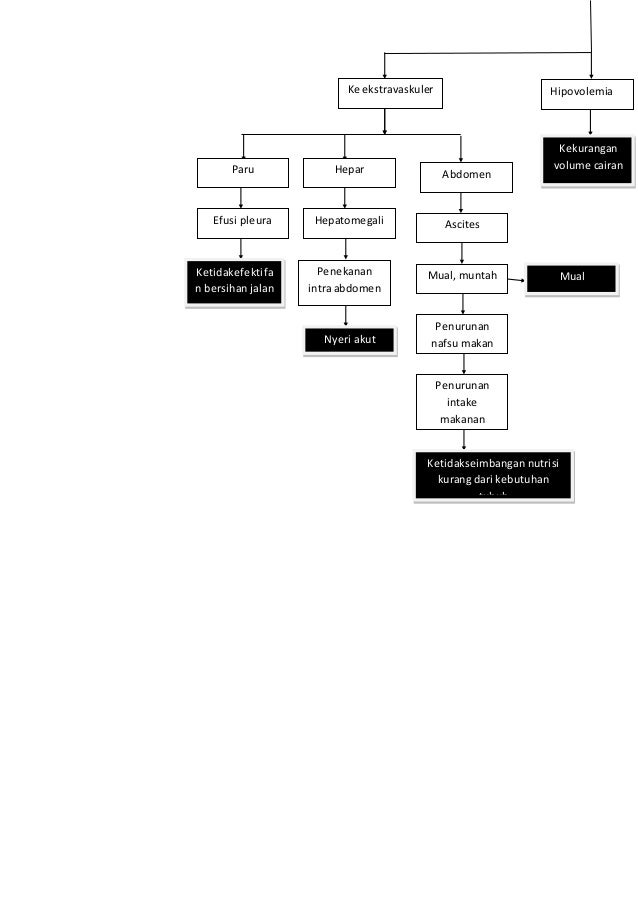 pathway dhfPathway dhf