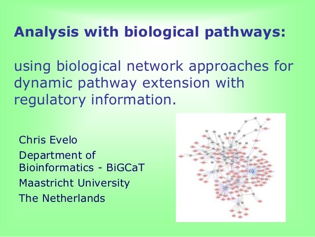 Analysis with biological pathways: