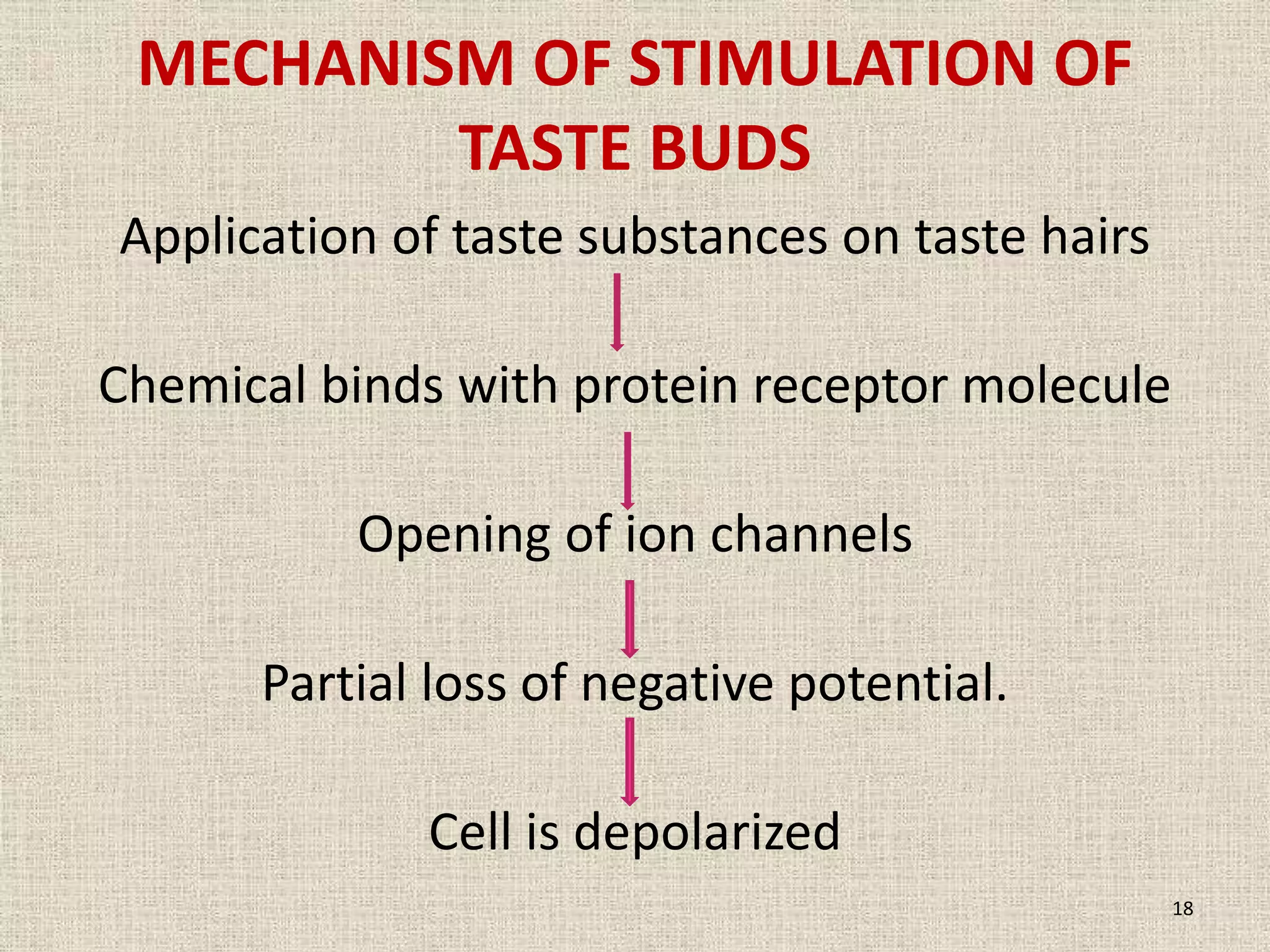 Pathway for taste sensation | PPTX