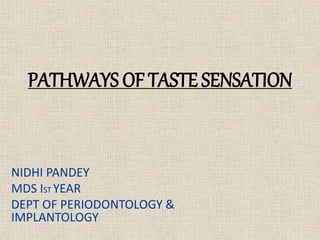 Pathway for taste sensation | PPTX