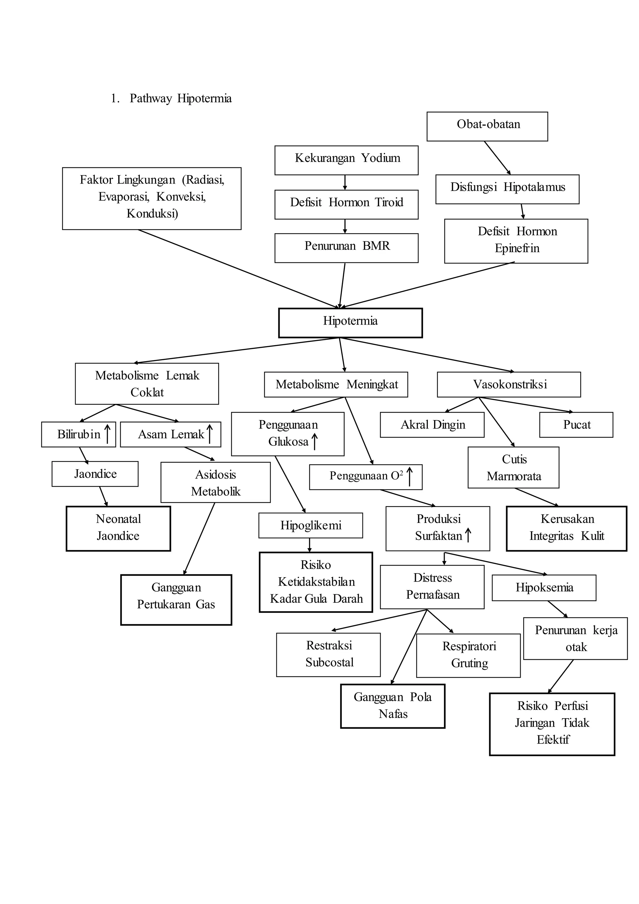 Pathway hipotemia | DOCX