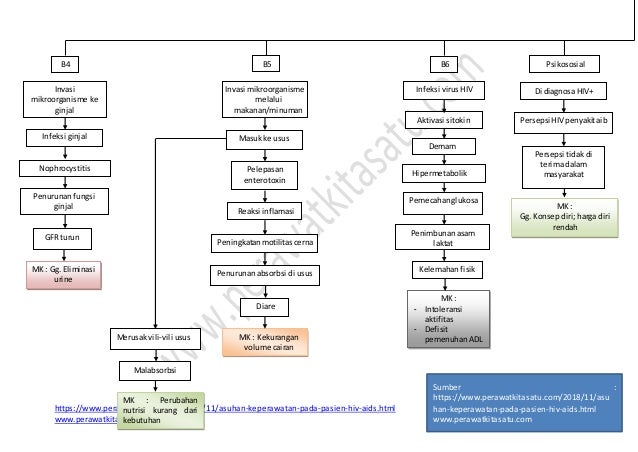 Pathway HIV AIDS