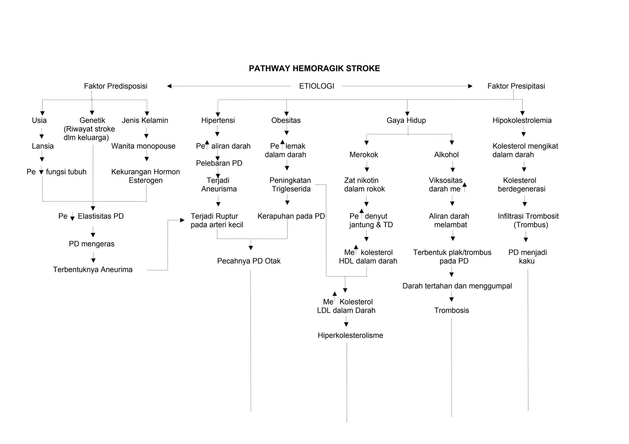 Parofisiologi/pathway penyakit Hemoragic Stroke | PDF