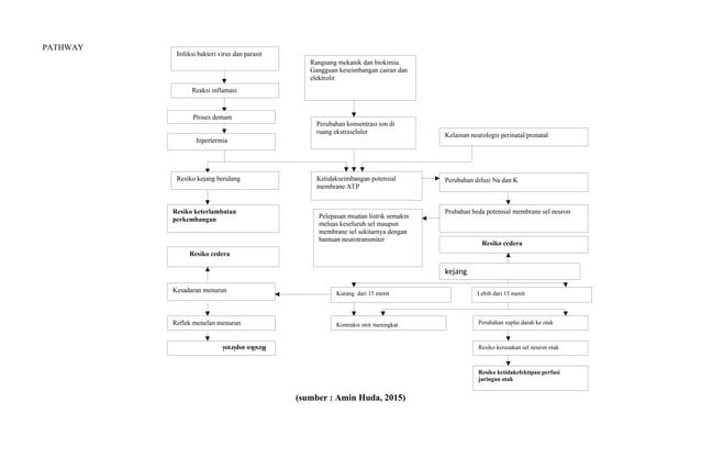 pathway kejang demam dan tata pelaksanaan.docx