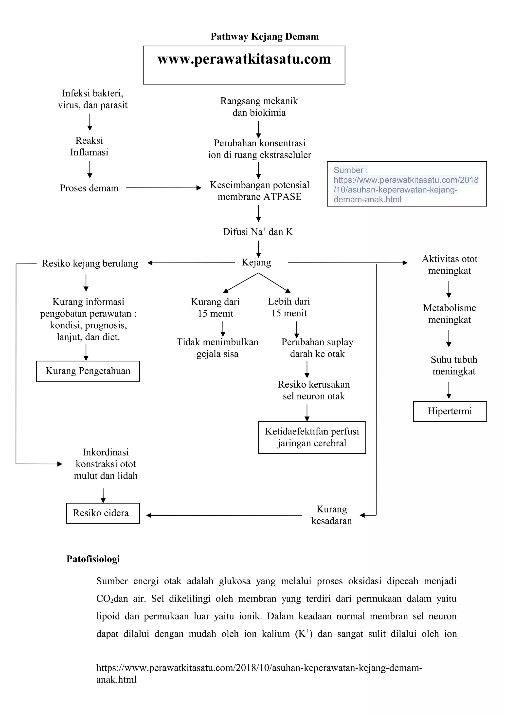 Pathway kejang demam anak lengkap | DOC