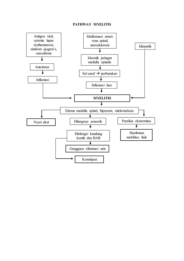 PATHWAY MYELITIS | PDF