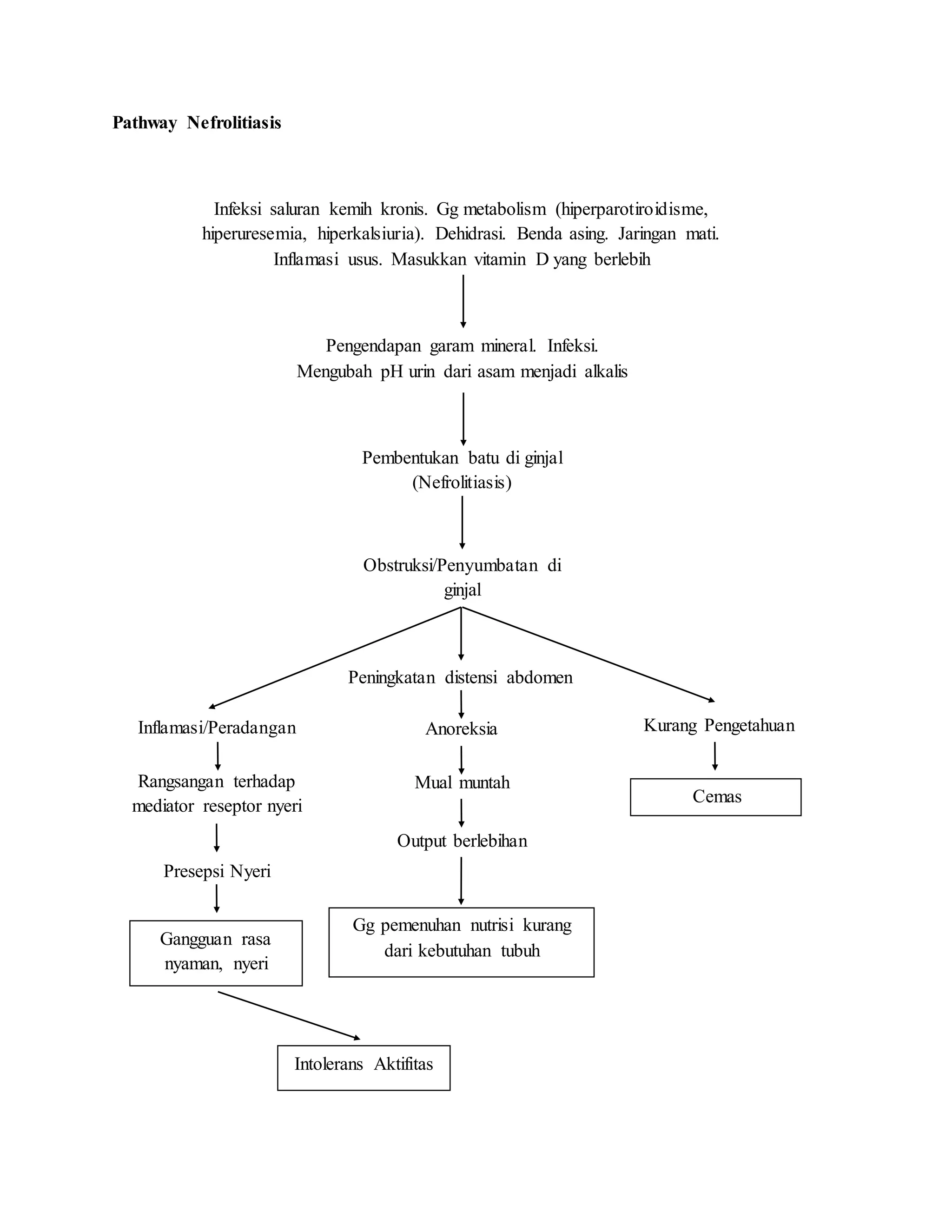 Pathway nefrolitiasis | PDF