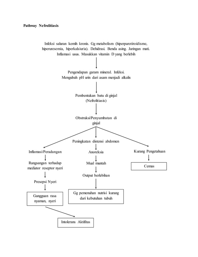 Pathway nefrolitiasis | PDF