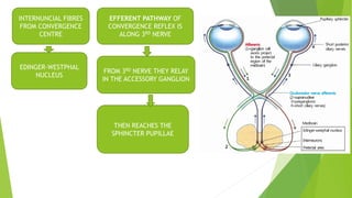 PATHWAY OF LIGHT REFLEX AND NEAR REFLEX.pptx