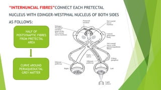 PATHWAY OF LIGHT REFLEX AND NEAR REFLEX.pptx