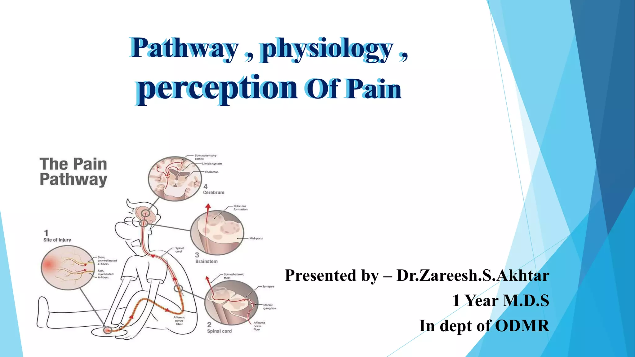 Pathway , physiology , perception of pain | PPTX