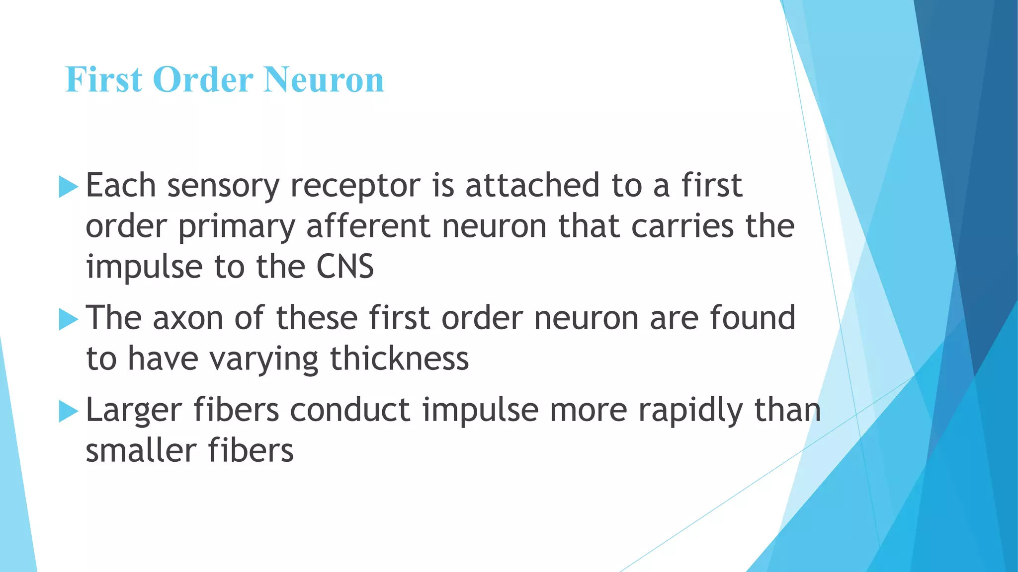 Pathway , physiology , perception of pain | PPTX