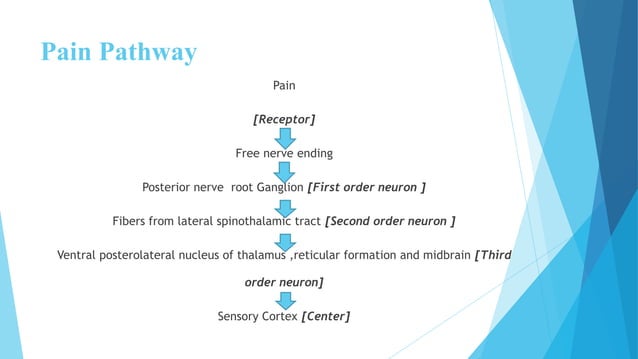 Pathway , physiology , perception of pain | PPTX