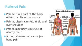 Pathway , physiology , perception of pain | PPTX