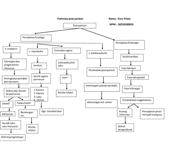 Pathway post partum.docx