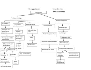 Pathway post partum.docx