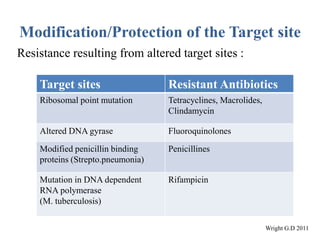pathway presentation.pptx
