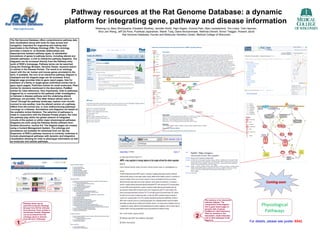 Pathway resources at the rat genome database | PPT