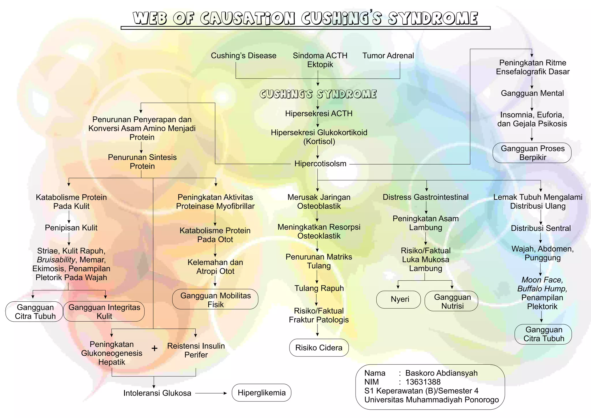 Web of Causation (WOC) Cushing's Syndrome | PDF