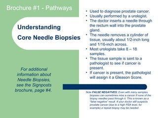 Pathways and Signposts | PPT